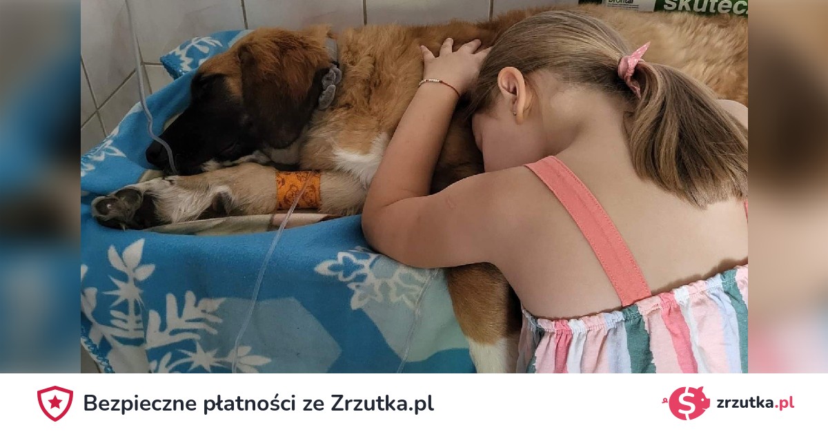 Zrzutka: Kremacja Baksia 😭 | Marta Blachowska