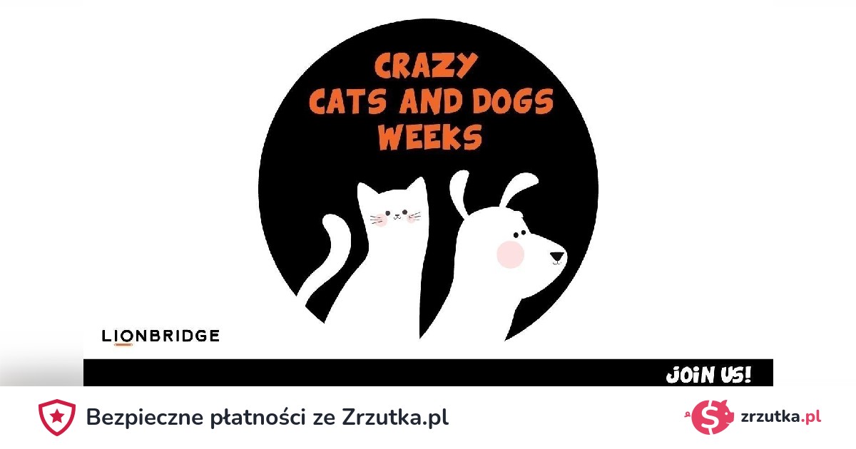 Zrzutka: Crazy Cats & Dogs Weeks - Józefów Animal Shelter Support ...