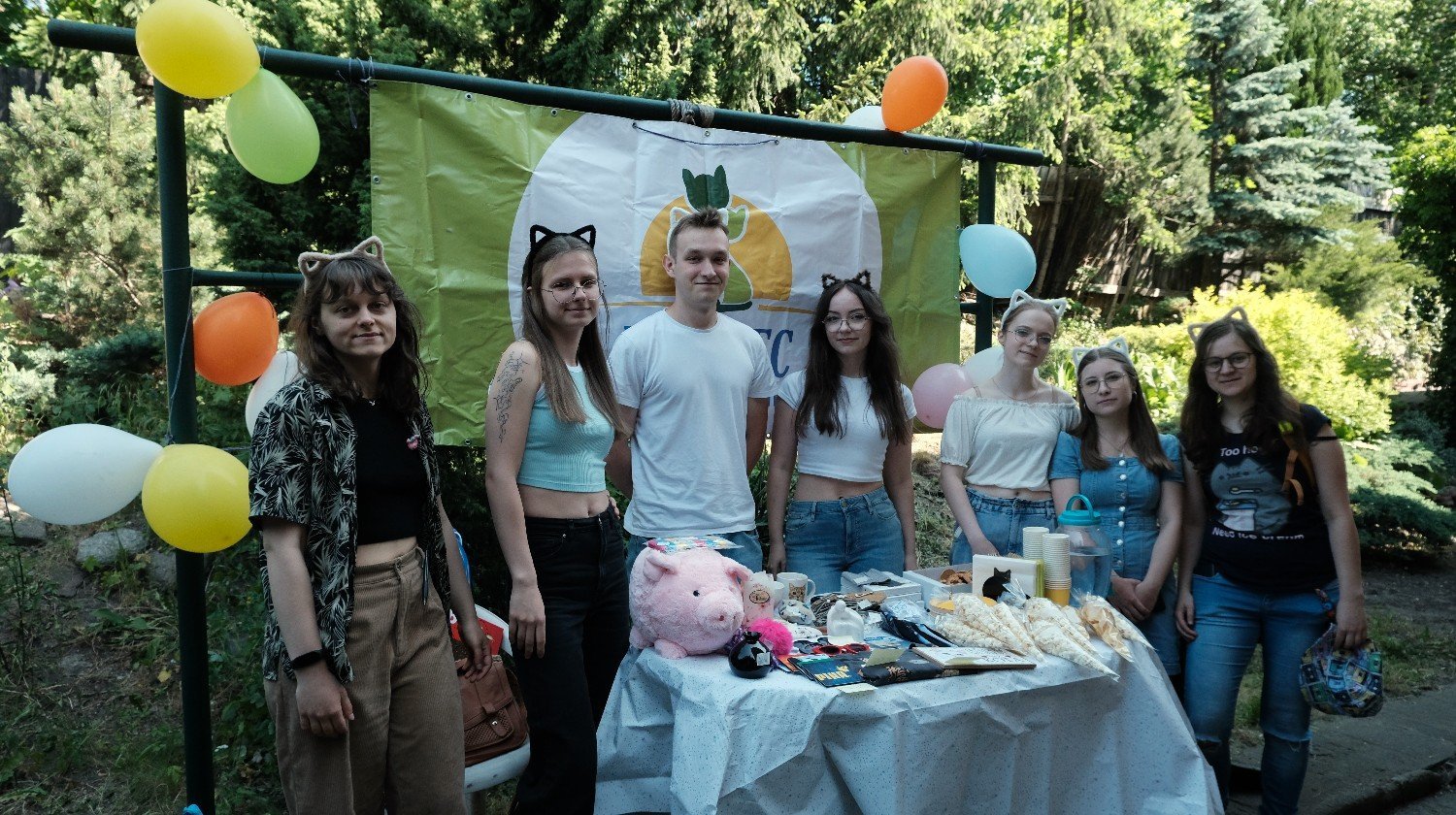 Zrzutka: Okaż serce z okazji Dnia Kocich Sierotek | Wiktoria Rogowska